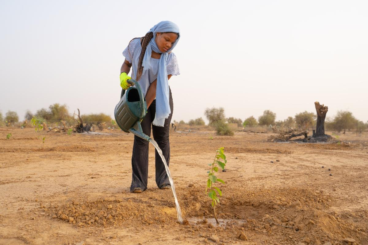 Students Fighting Climate Change On HBCU Green Fund Atlanta University ...